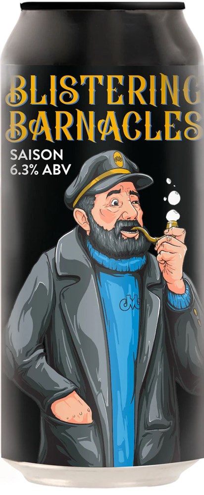 Double Vision Blistering Barnacle Saison 440mL – Beer and Wine Co